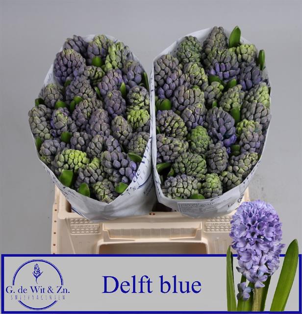 Цветочная культура