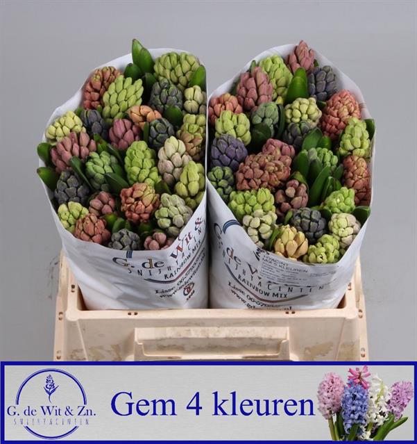 Цветочная культура