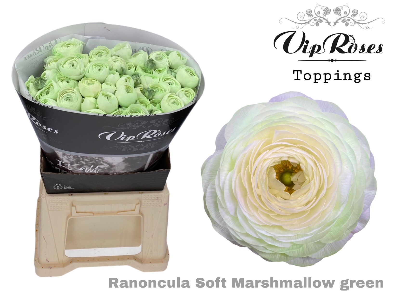 Цветочная культура